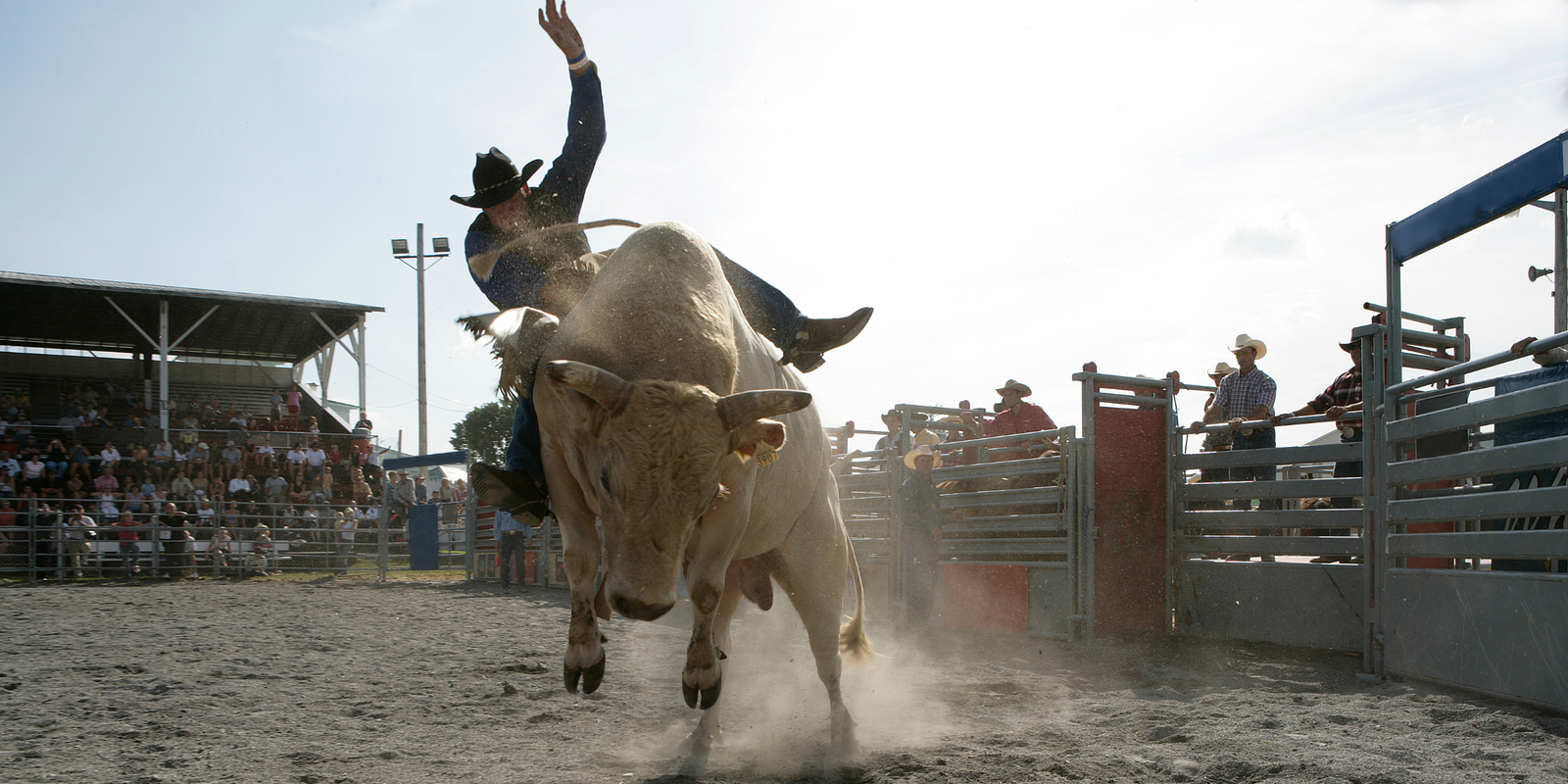 Rodeo 101: A Beginner’s Guide to the Sport of the West – Sackett Ranch