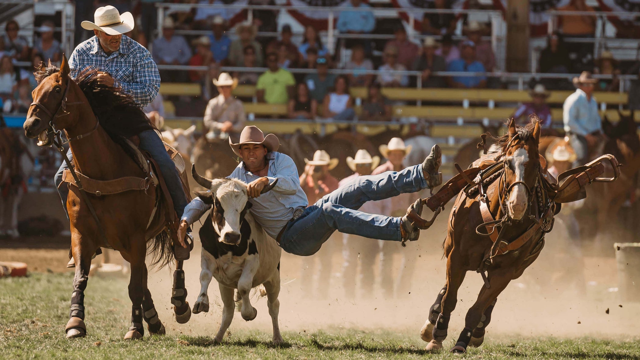 Rodeo 101: A Beginner’s Guide to the Sport of the West – Sackett Ranch